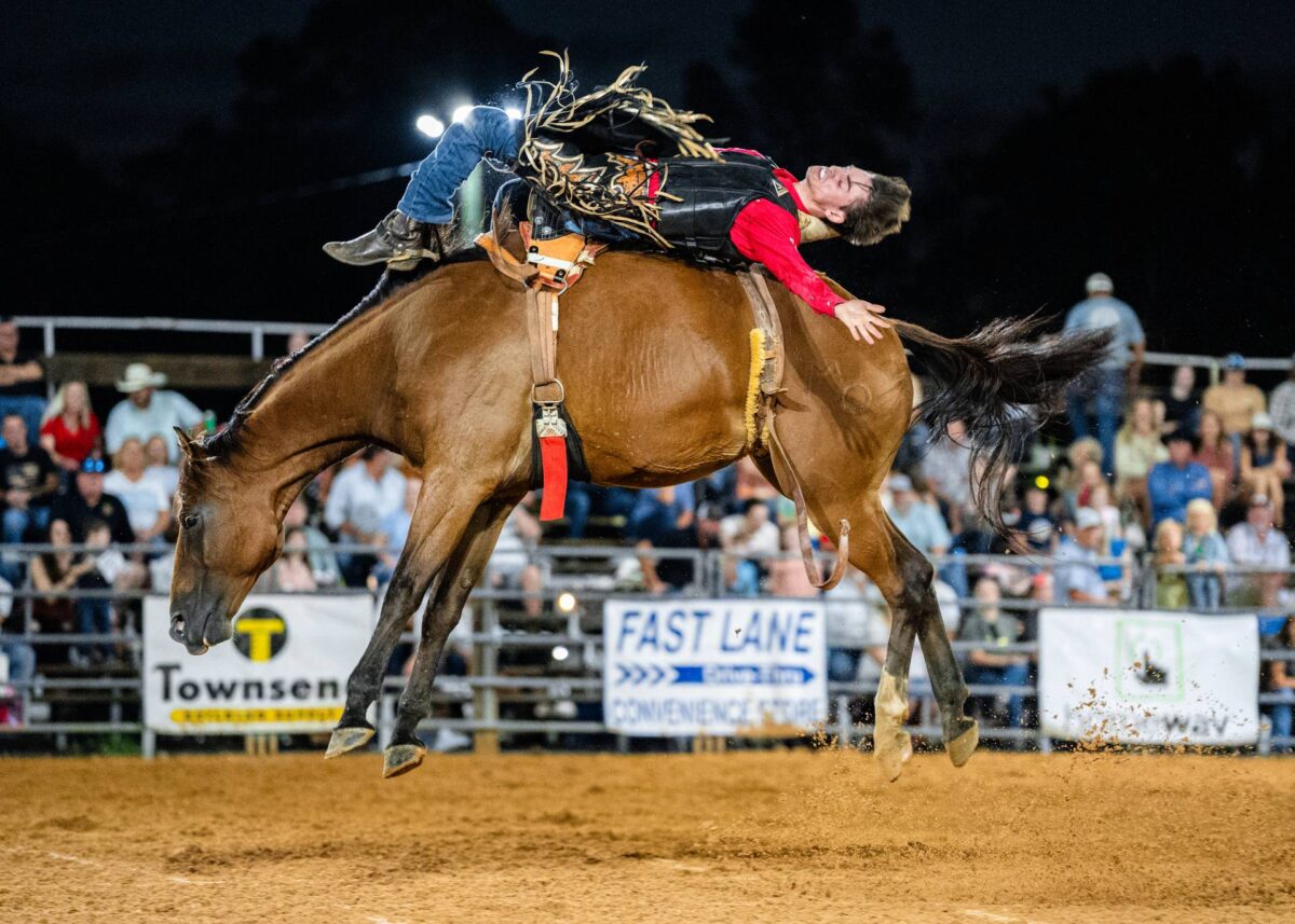 Media | Bo Campbell Rodeo