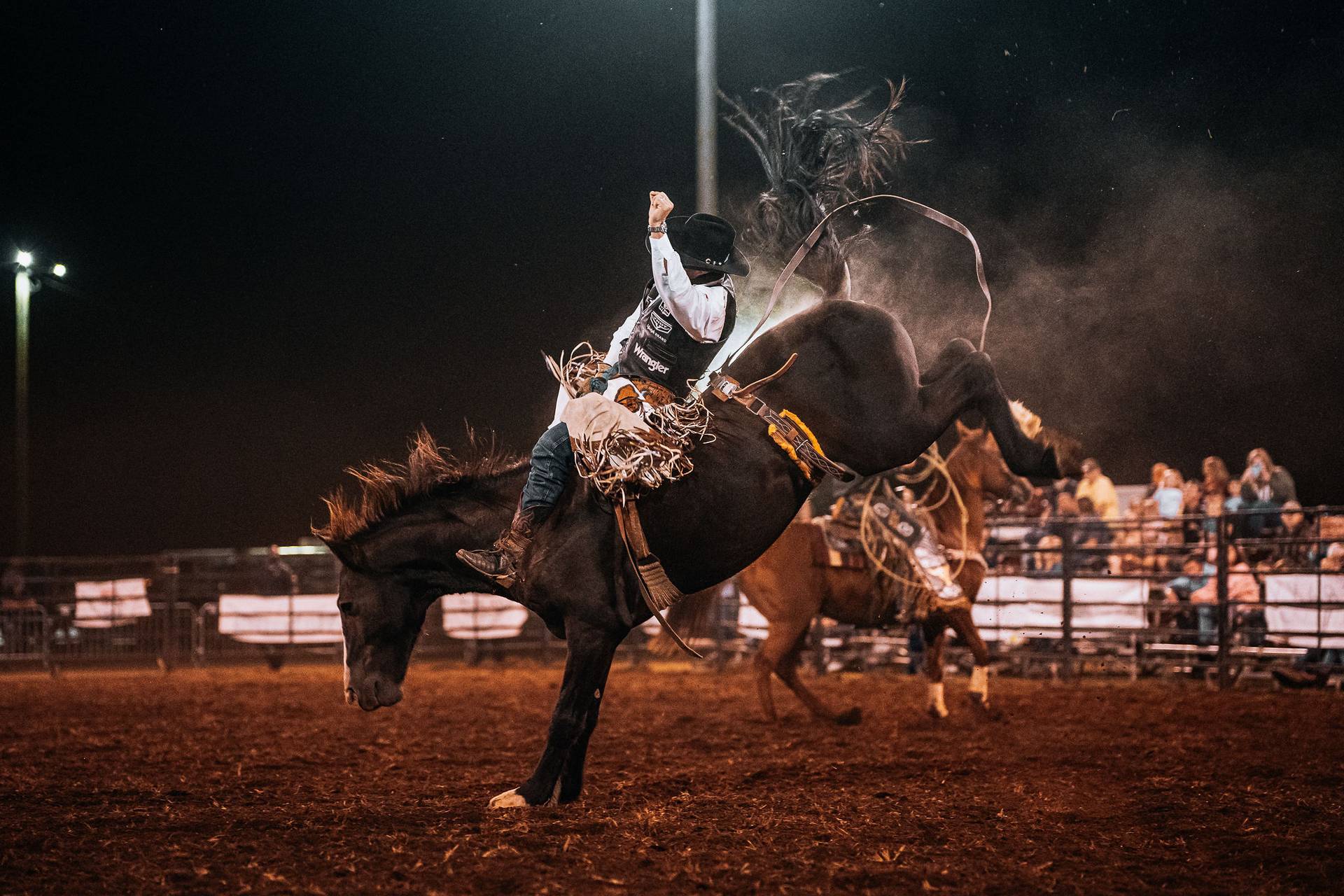 Media | Bo Campbell Rodeo