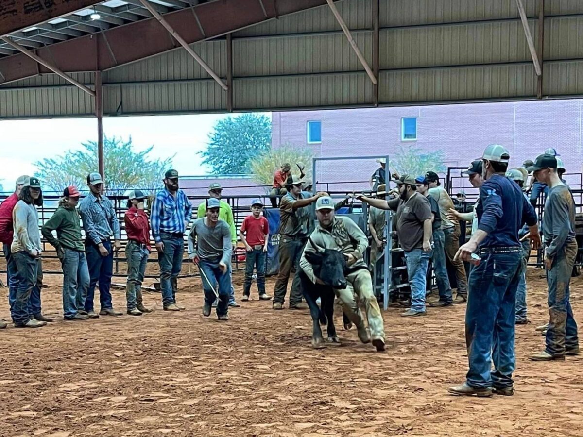 Steer Wrestling School | Bo Campbell Rodeo